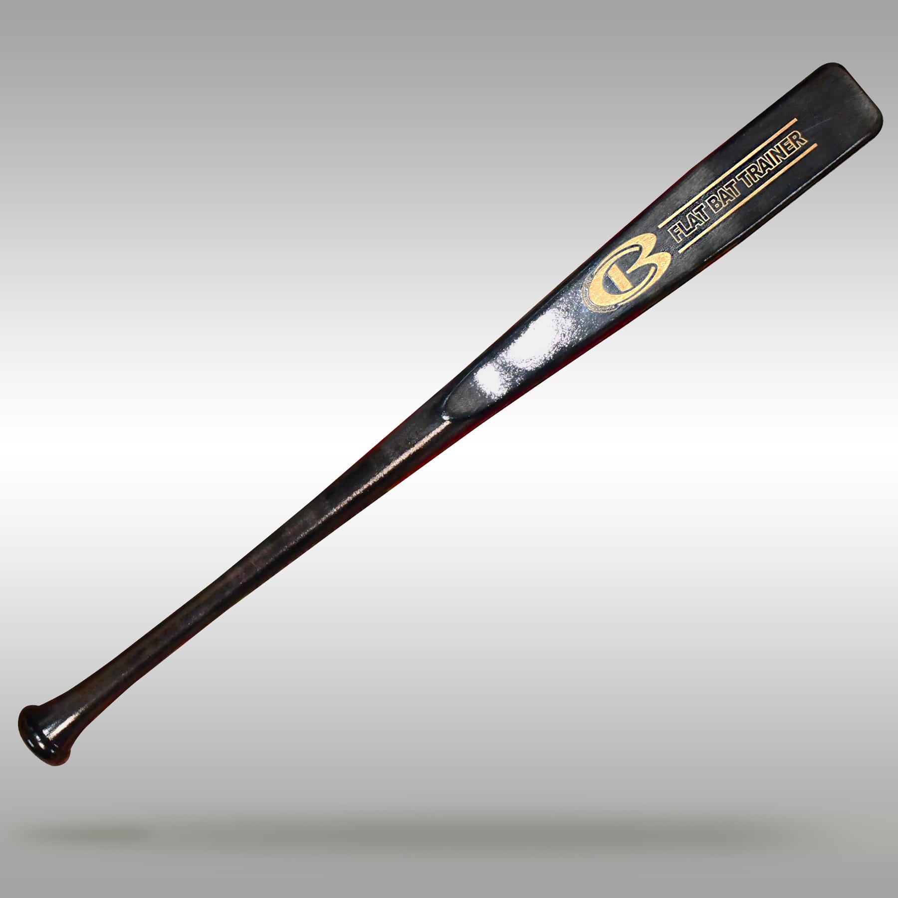 Fungos and Training - Cooperstown Bat